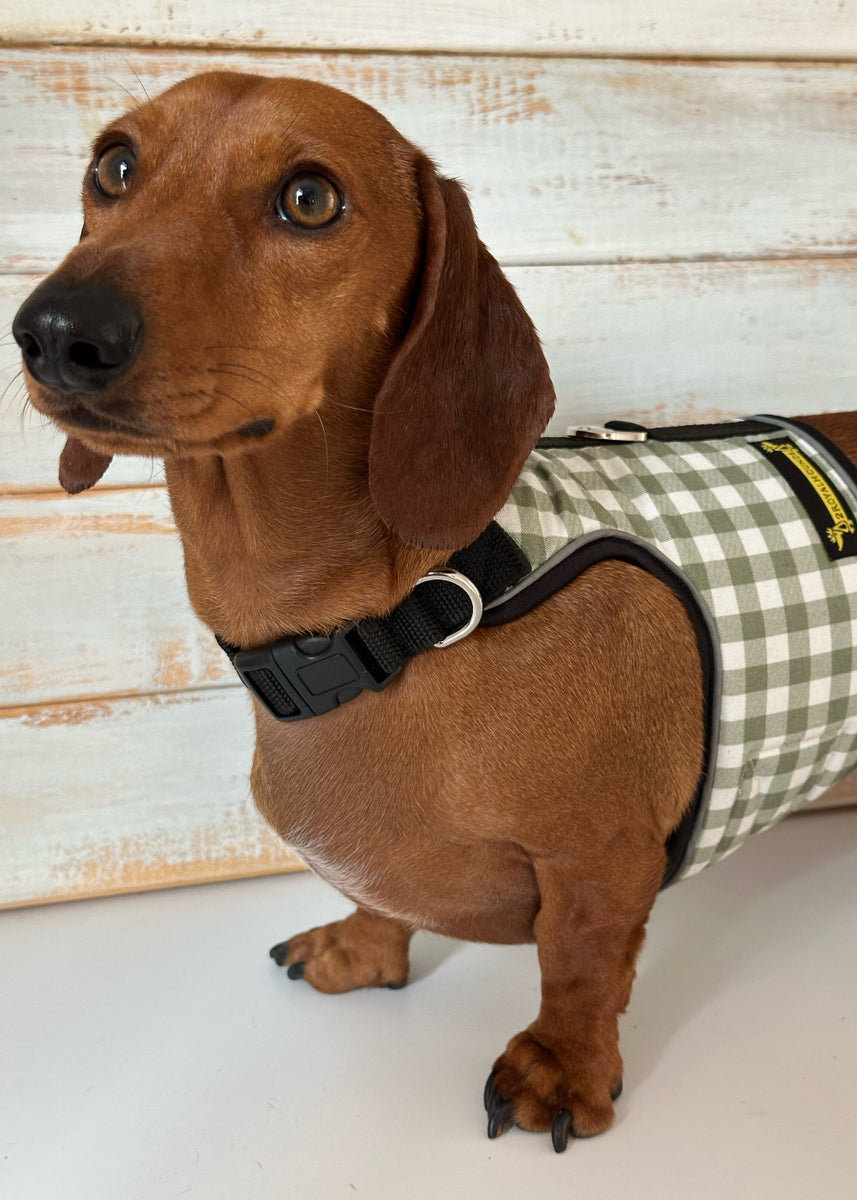 Pistachio Gingham Oxymesh Hug Me Harness – Cool & Comfy Fit for Dachshunds – 2RoyalHounds