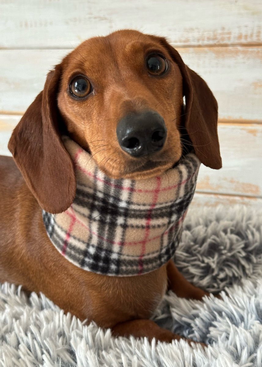 Furberry Tartan Fleece Snood – 2RoyalHounds