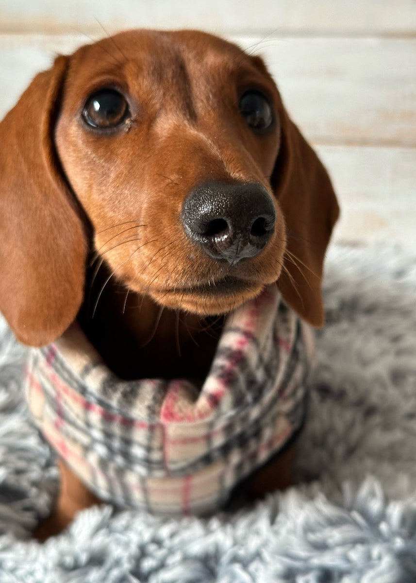 Furberry Tartan Fleece Turtleneck Romper – 2RoyalHounds